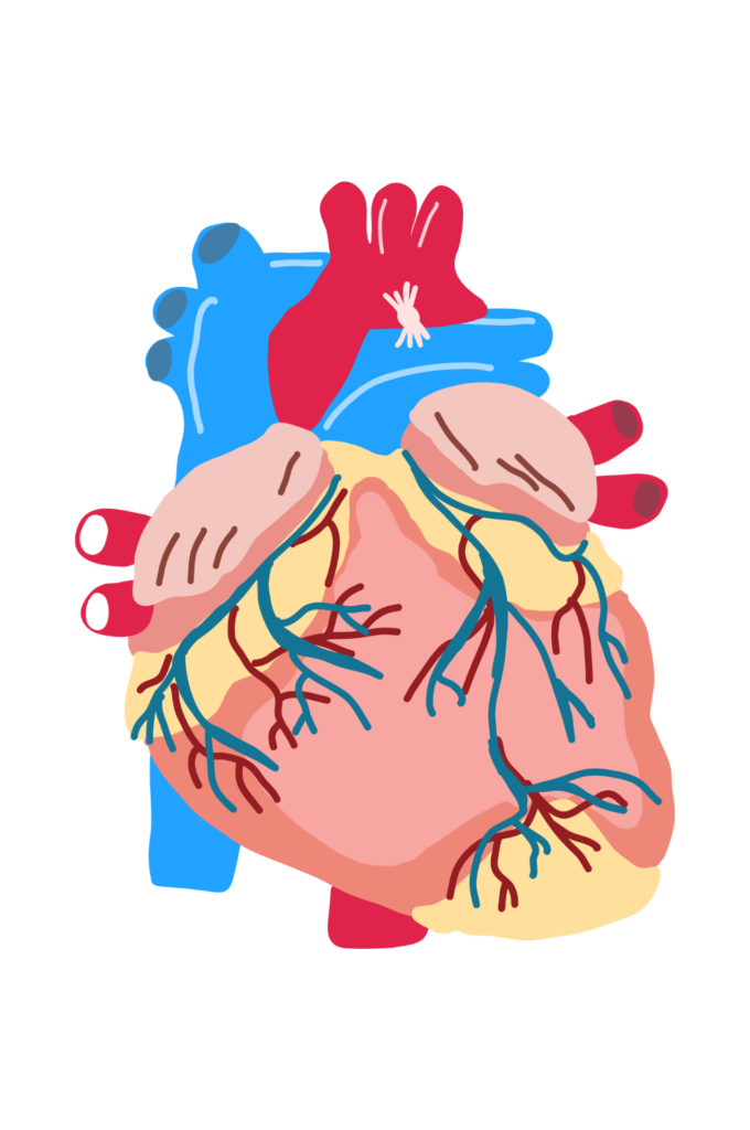 Dr G. Ram Pavan Kumar | Best Cardiologist & Heart Specialist in ...